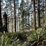 Cape Alava Trail, Washington - 556 Reviews, Map | AllTrails
