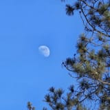 Adams Lake Loop Trail, Ohio - 48 Reviews, Map | AllTrails