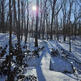 Adams Lake Loop Trail, Ohio - 48 Reviews, Map | AllTrails