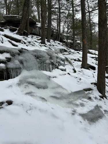 Best Hikes and Trails in Buffam Falls Conservation Area | AllTrails