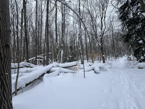 Best Beach Trails in Arcadia | AllTrails