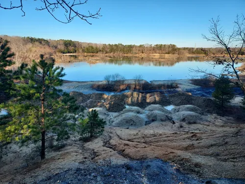 Best Hikes and Trails in Egg Harbor Township Nature Reserve | AllTrails