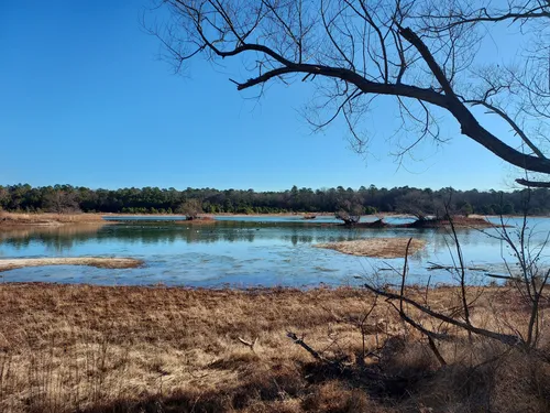 Best Hikes and Trails in Egg Harbor Township Nature Reserve | AllTrails