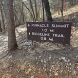 Pinnacle Trail to Kings Pinnacle, North Carolina - 2,670 Reviews, Map ...