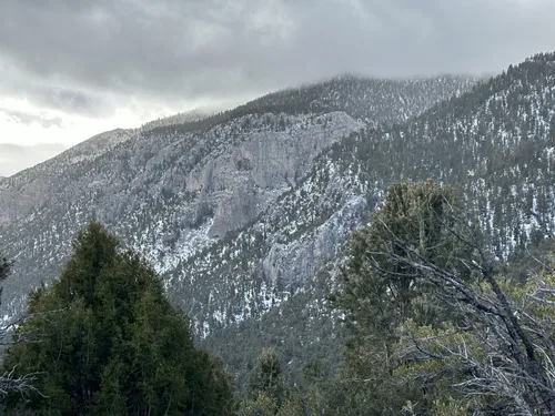 10 Best Trails and Hikes in Mount Charleston | AllTrails