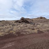 Trail Through Time, Colorado - 306 Reviews, Map | AllTrails