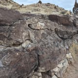 Trail Through Time, Colorado - 328 Reviews, Map | AllTrails