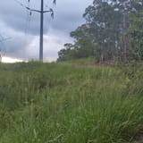 Keperra Bushland Double Loop, Queensland, Australia - 73 Reviews, Map ...