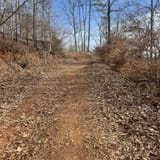 Dam Road, Issaqueena, Rocky and Collarbone Trail, South Carolina ...