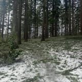 Washington Park Loop, Oregon - 1,519 Reviews, Map | AllTrails