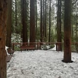 Washington Park Loop, Oregon - 1,519 Reviews, Map | AllTrails