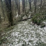 Washington Park Loop, Oregon - 1,519 Reviews, Map | AllTrails