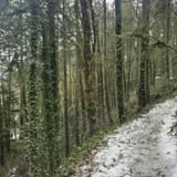 Washington Park Loop, Oregon - 1,519 Reviews, Map | AllTrails