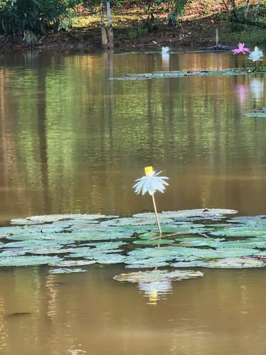 Best Hikes and Trails in Kepong Botanical Garden | AllTrails