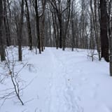 Taconic Crest Trail to White Rock and Snow Hole, New York - 538 Reviews ...