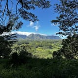 Kuilau Ridge Trail, Kaua'i, Hawaii - 2,167 Reviews, Map | AllTrails