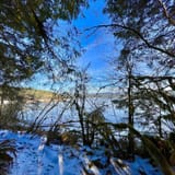 Hagg Lake Trail Section H, Oregon - 183 Reviews, Map | AllTrails