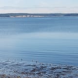 Larry Scott Trail, Washington - 377 Reviews, Map | AllTrails