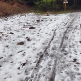 Larry Scott Trail, Washington - 377 Reviews, Map | AllTrails