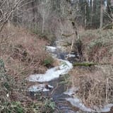 Nolte State Park Deep Lake, Washington - 593 Reviews, Map | AllTrails