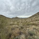 Dixie Mountain Loop Trail, Arizona - 3,104 Reviews, Map | AllTrails