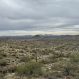 Dixie Mountain Loop Trail, Arizona - 3,104 Reviews, Map | AllTrails