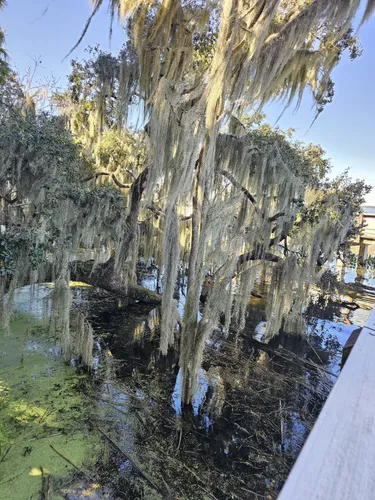 Best Walking Trails in Mount Dora | AllTrails