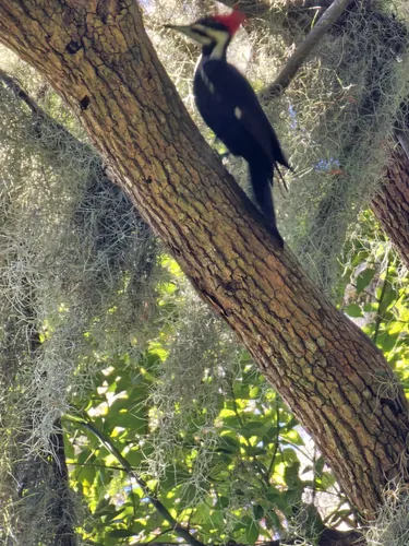 Best Walking Trails in Mount Dora | AllTrails