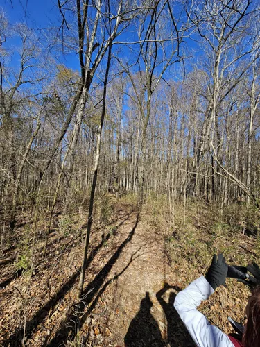 Best Hikes and Trails in Chicot State Park | AllTrails