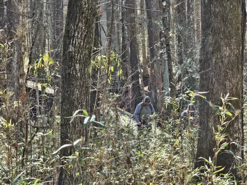 Best Hikes and Trails in Chicot State Park | AllTrails