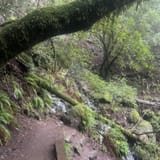 Cataract Falls Trail, California - 3,324 Reviews, Map | AllTrails