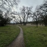 Olmstead Loop and Wendell Robie Trail, California - 2,926 Reviews, Map ...