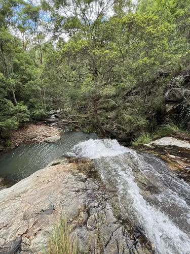 Best Hikes and Trails in Wongawallan | AllTrails