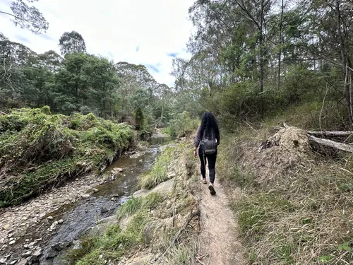 Best Hikes and Trails in Yarran Dheran | AllTrails