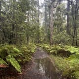 Flaxton Walkers Camp and Baxter Falls, Queensland, Australia - 438 ...