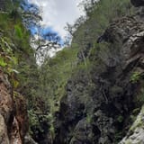 Northbrook Gorge, Queensland, Australia - 200 Reviews, Map | AllTrails
