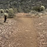 Go John Trail, Arizona - 2,527 Reviews, Map | AllTrails
