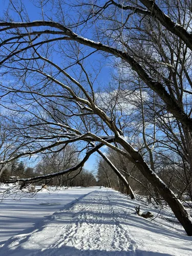Best River Trails in Mont Clare | AllTrails