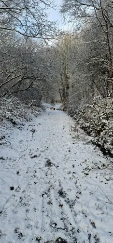 Best Hikes and Trails in Culcheth Linear Park | AllTrails
