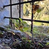 Mili Gorge, Crete, Greece - 329 Reviews, Map | AllTrails