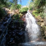 Sterkfontein Heritage Lodge Trail, Gauteng, South Africa - 107 Reviews ...