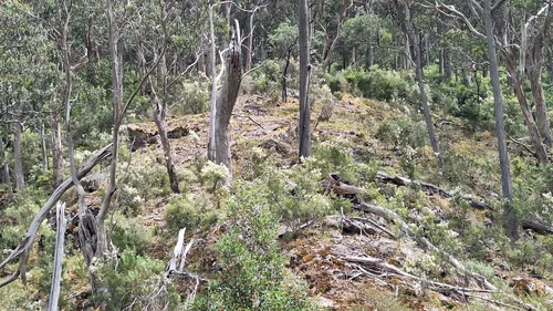 Best Short Trails in Mount Samaria State Park | AllTrails