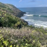 La Zanja Trail, East Region, Puerto Rico - 440 Reviews, Map | AllTrails