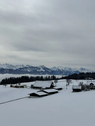 Best Forest Trails in Root | AllTrails