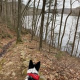 Zoar Trail, Connecticut - 2,045 Reviews, Map | AllTrails