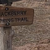 Second Water and Hackberry Spring Loop, Arizona - 1,873 Reviews, Map ...