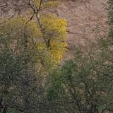 Second Water and Hackberry Spring Loop, Arizona - 1,873 Reviews, Map ...