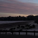 Daniels Park Trail, Colorado - 537 Reviews, Map | AllTrails