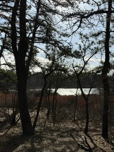 Best Hikes and Trails in Calverton Ponds Preserve | AllTrails