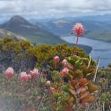 Mount Anne Circuit, Tasmania, Australia - 12 Reviews, Map | AllTrails